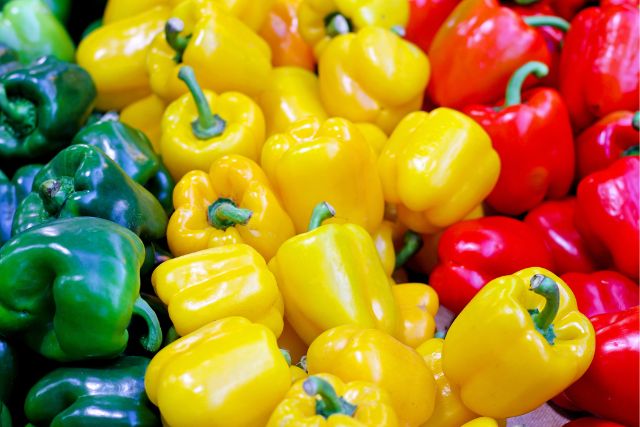 The Vibrant World of Bell Peppers: Colors, Flavors, and Varieties and ...