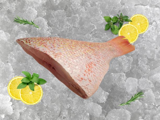 Red Snapper Tail 500g – SGWetMarket
