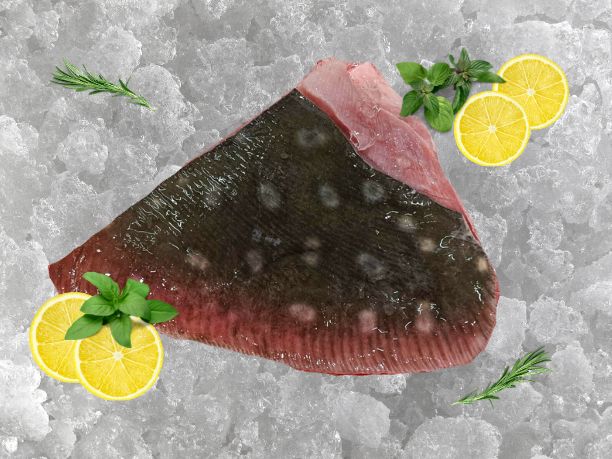 Sting Ray Meat 500g – SGWetMarket