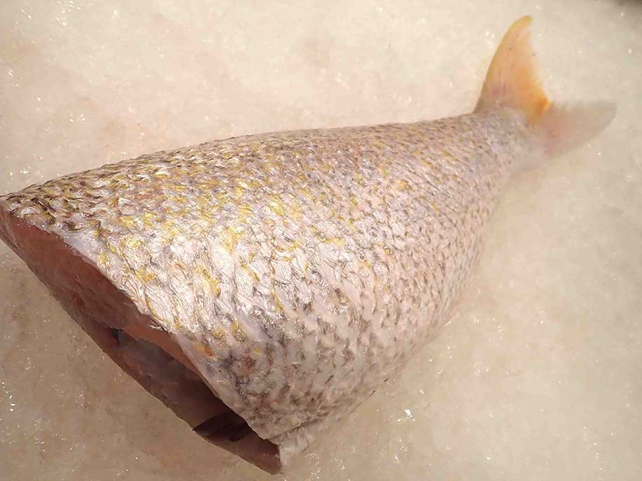White Snapper Tail 800g – SGWetMarket
