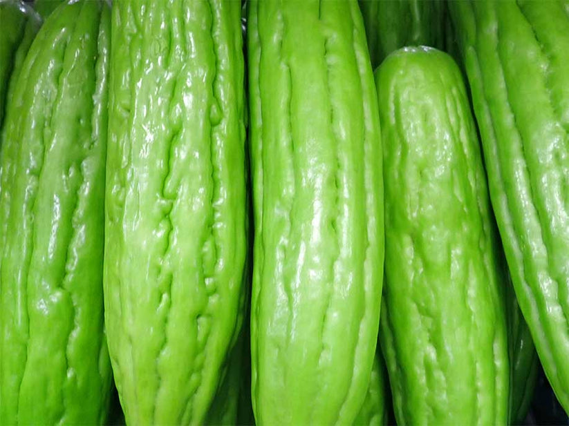 Bitter Gourd - Ku Gua 400g – SGWetMarket