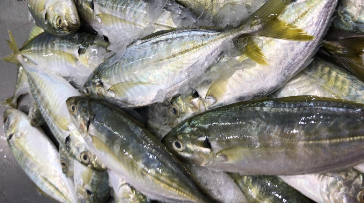 Selar Fish 色拉鱼 400g – SGWetMarket